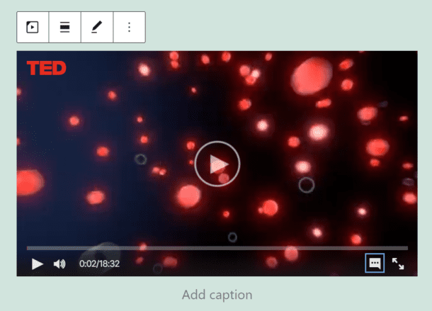 How to Use the WordPress TED Embed Block