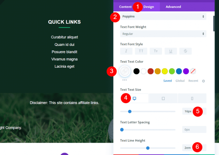 3 Ways to Add a Disclaimer to the Divi Footer