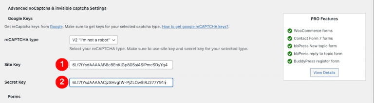 How to Use CAPTCHA to Secure Your WordPress Site