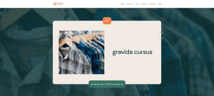 How to Use Different Blog Post Templates for Different Categories with Divi