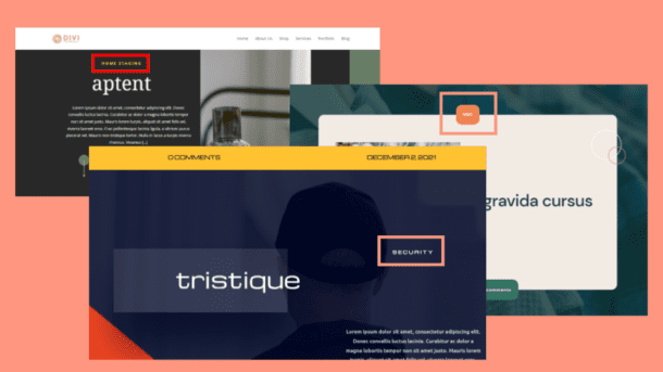 15+ Amazing Blog Post Template Tutorials for Divi