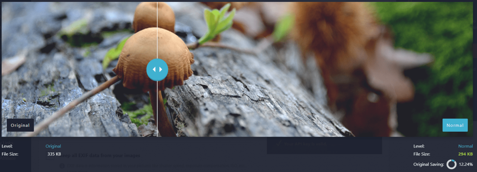 Understanding Lossless Compression and When to Use It