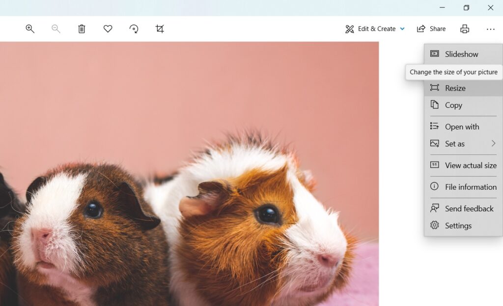 Understanding Lossy Compression and When to Use It
