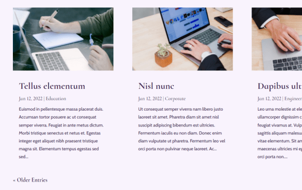 8 Post Element Display Combinations For Divis Blog Module