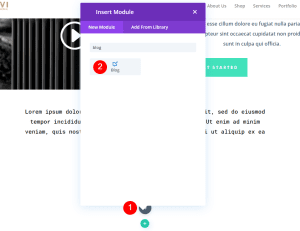How to Show Blog Posts per Category Using Divi's Blog Module