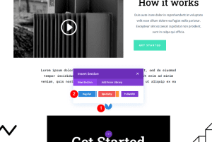 How to Show Blog Posts per Category Using Divi's Blog Module