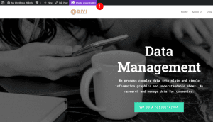 How to Show Blog Posts per Category Using Divi's Blog Module