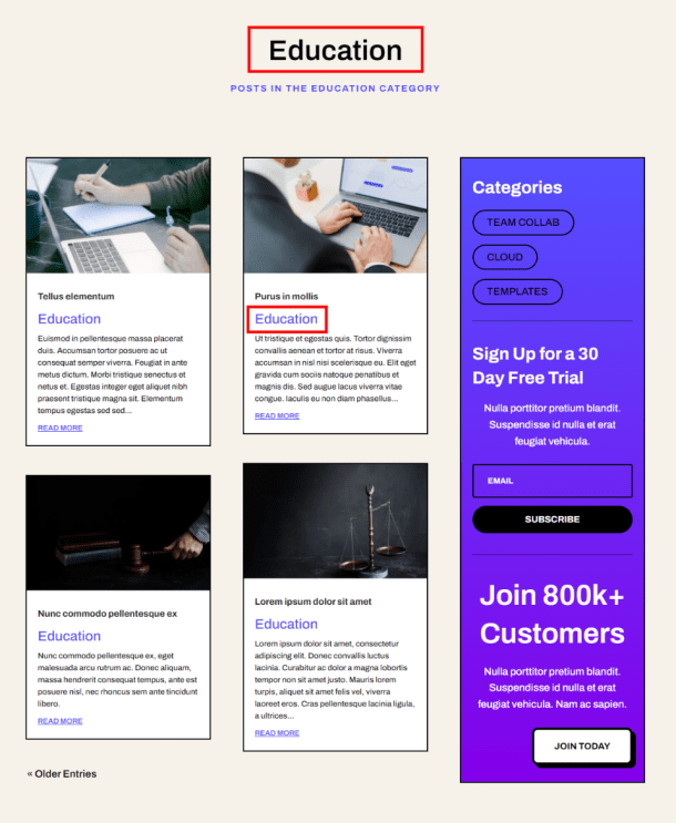 How to Use a Blog Module Inside a Category and/or Archive Page Template