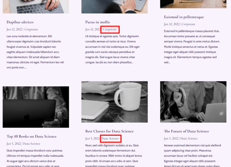 How to Show Blog Posts per Category Using Divi's Blog Module
