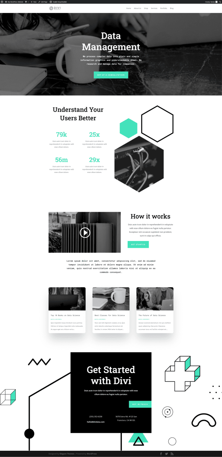 How to Show Blog Posts per Category Using Divi's Blog Module
