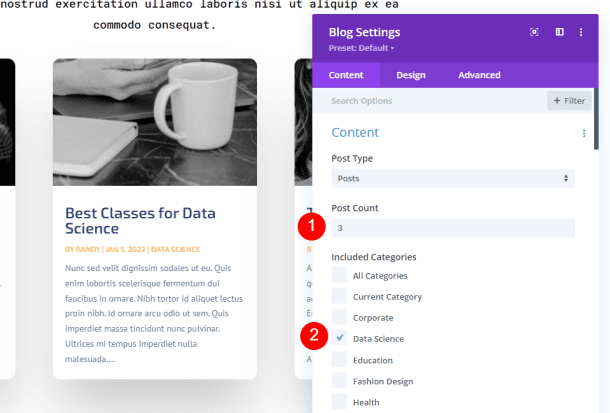 How to Show Blog Posts per Category Using Divi's Blog Module