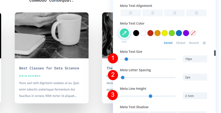 How to Show Blog Posts per Category Using Divi's Blog Module
