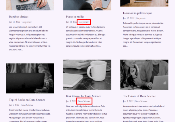 How to Show Blog Posts per Category Using Divi's Blog Module