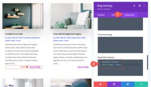 How to Customize the "Read More" Link in the Divi Blog Module