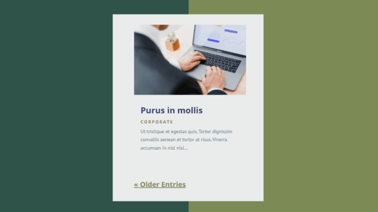 15+ Amazing Blog Module Tutorials for Divi