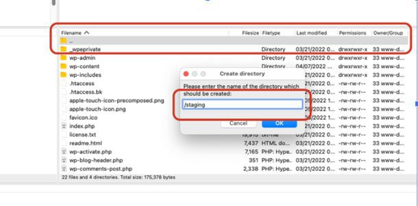 How to Create and Use a WordPress Staging Site