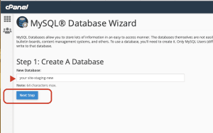 How to Create and Use a WordPress Staging Site