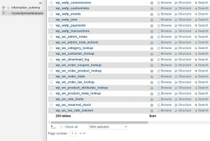 How to Repair the WordPress Database