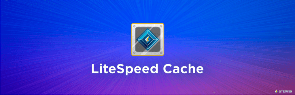 What is LiteSpeed Web Server Software?