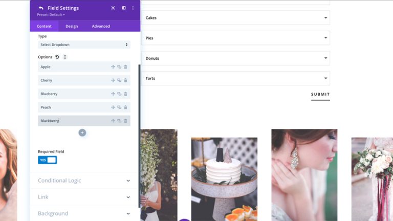 6 Field Types You Can Add to Divi's Contact Form Module (And When to Use Them)