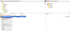 How to Create and Use a WordPress Staging Site