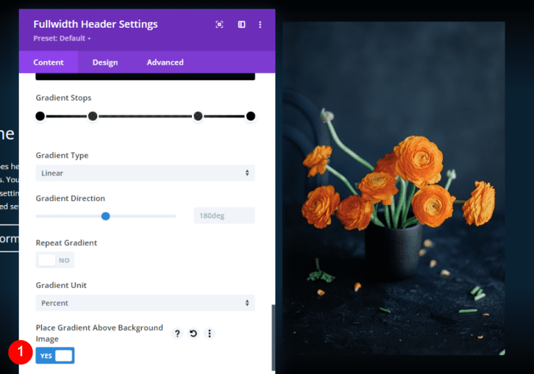 How to Style an Image in Your Divi Fullwidth Header Module