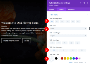 How to Style an Image in Your Divi Fullwidth Header Module