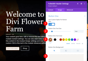 How to Style an Image in Your Divi Fullwidth Header Module
