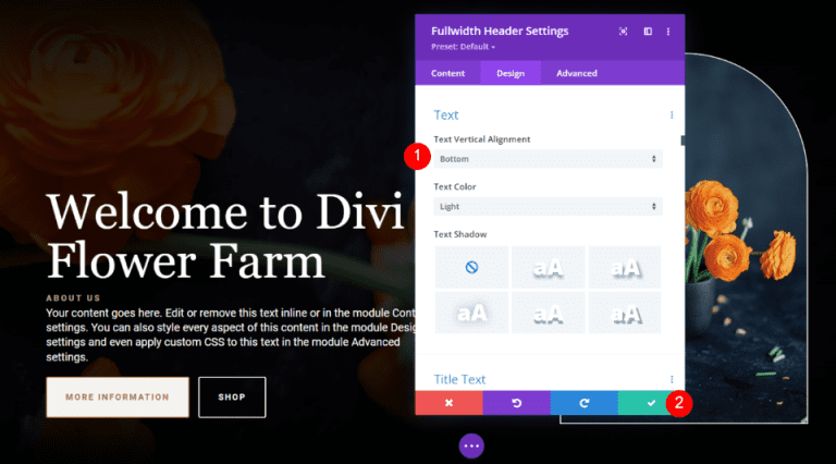 How to Style an Image in Your Divi Fullwidth Header Module