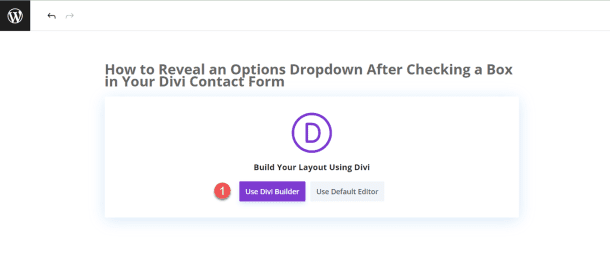 How to Reveal an Options Dropdown After Checking a Box in Your Divi Contact Form