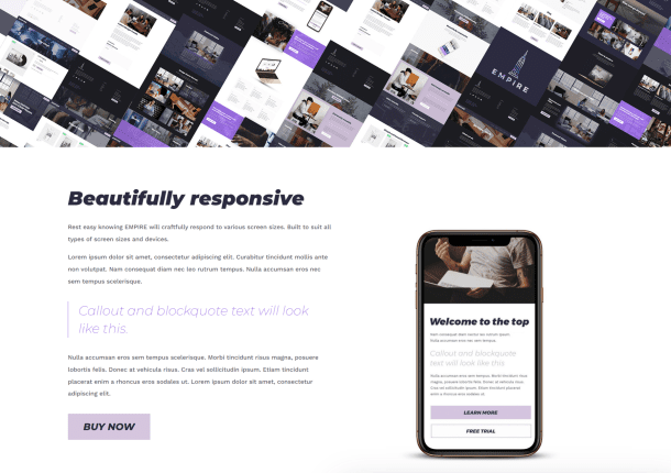 EMPIRE - Divi Child Theme Overview