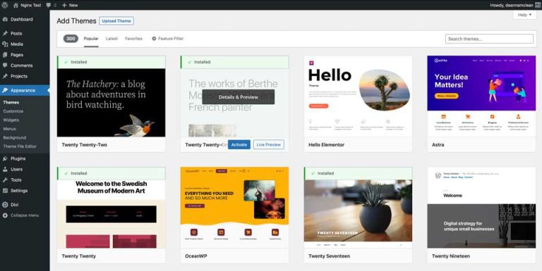WordPress vs HighLevel