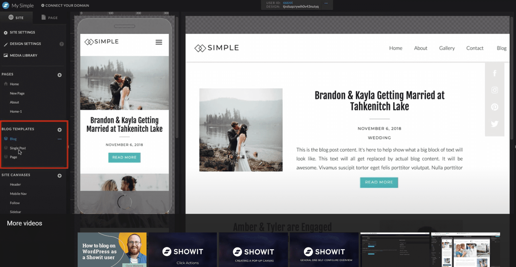 WordPress vs Showit