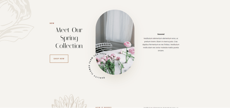 How to Use Invisible Dividers to Create Space Between Divi Modules