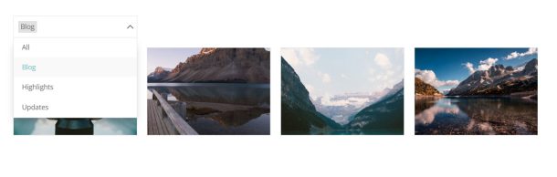 Divi Plugin Highlight: Divi FilterGrid