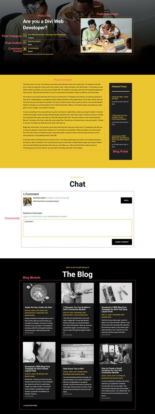 Download a FREE Blog Post Template for Divi's Web Developer Layout Pack