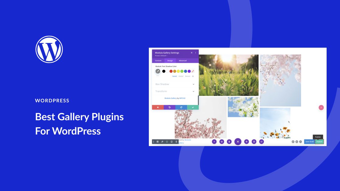 7 Best Gallery Plugins For WordPress in 2023 Dartjets