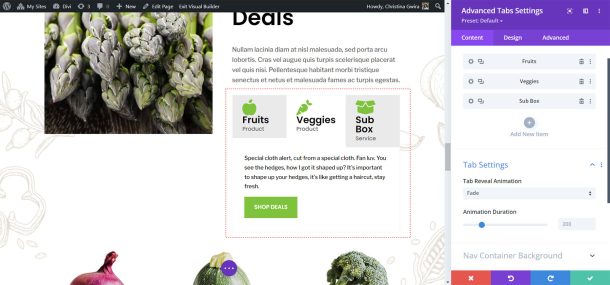 Divi Plugin Highlight: DiviFlash
