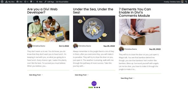 Divi Plugin Highlight: DiviFlash