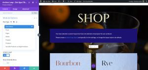 Divi Plugin Highlight: Divi Ajax Filter