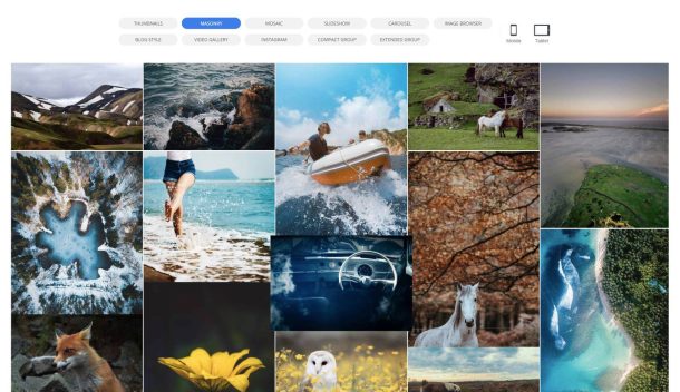 8 Best WordPress Gallery Plugins in 2025 (Detailed Comparison)