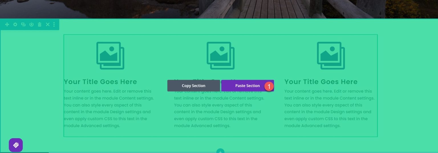 Divi Plugin Highlight Divigutenbergwoo Cross Domain Copy Paste For Divi And Gutenberg