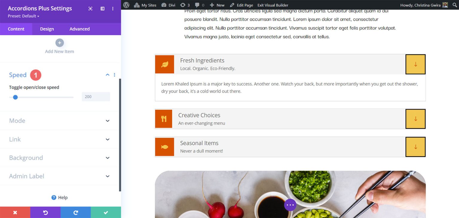 Divi Plugin Highlight: Divi Accordions Plus