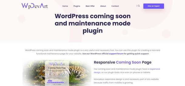 11 Best WordPress Under Construction Plugins: Ranked (2025)