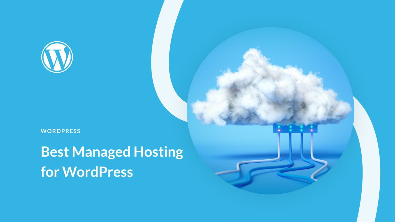 What is WordPress Hosting? A Breakdown of Different Hosting Solutions
