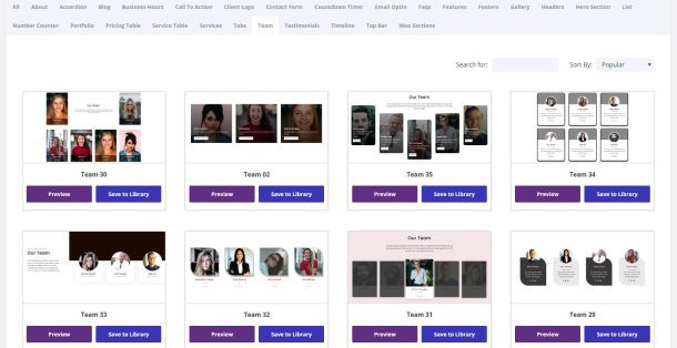 Divi Product Highlight: Divi Layouts Extended