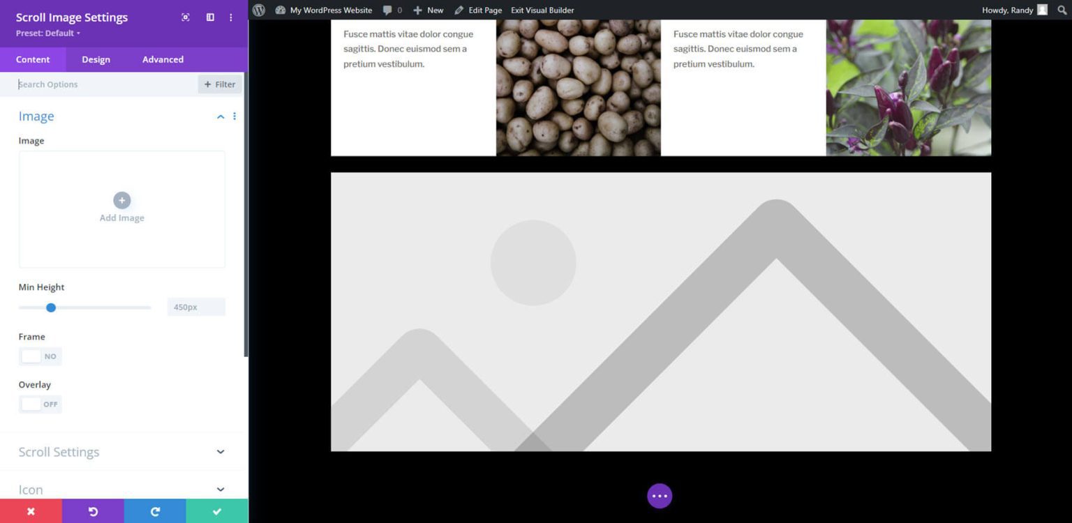 Divi Plugin Highlight: DiviFlash