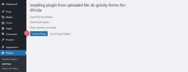 Divi Product Highlight: Gravity Forms Styler Module for Divi