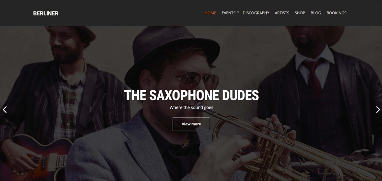 11 Best WordPress Themes for Musicians & Bands (2025)