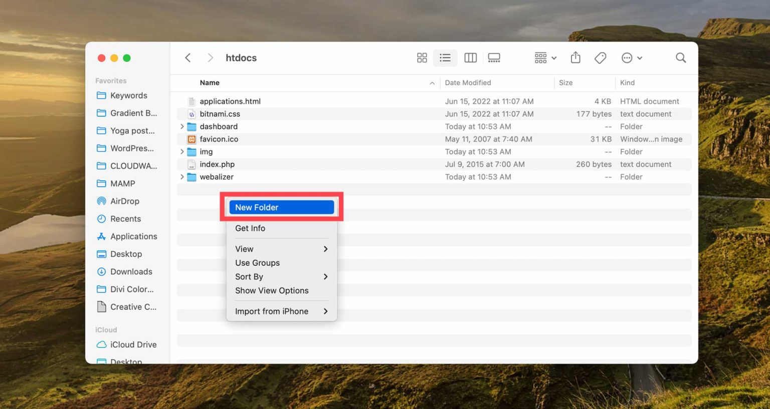 How to Host Your WordPress Website Locally in 2025 (Tutorial)